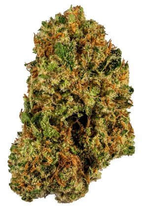 Jack The Ripper For Sale - Buy Weed Online - Cannabis Flower Wholesale ...